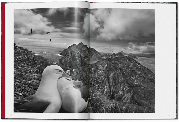 Génesis | Sebastião Salgado - Gràffica