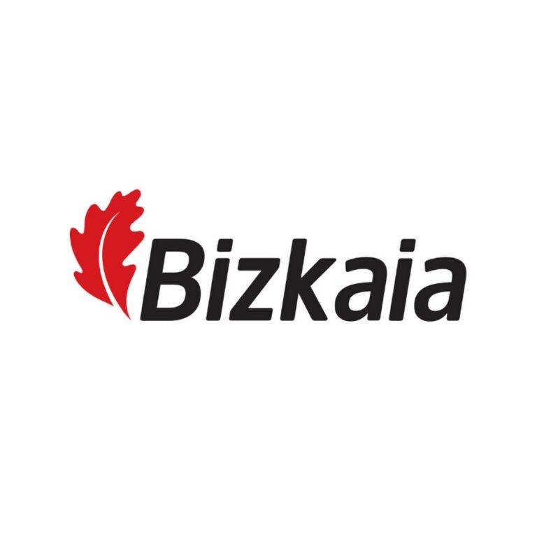 BizkaiKOA licita su nueva marca y pide arquitectura, naming y logotipo ...